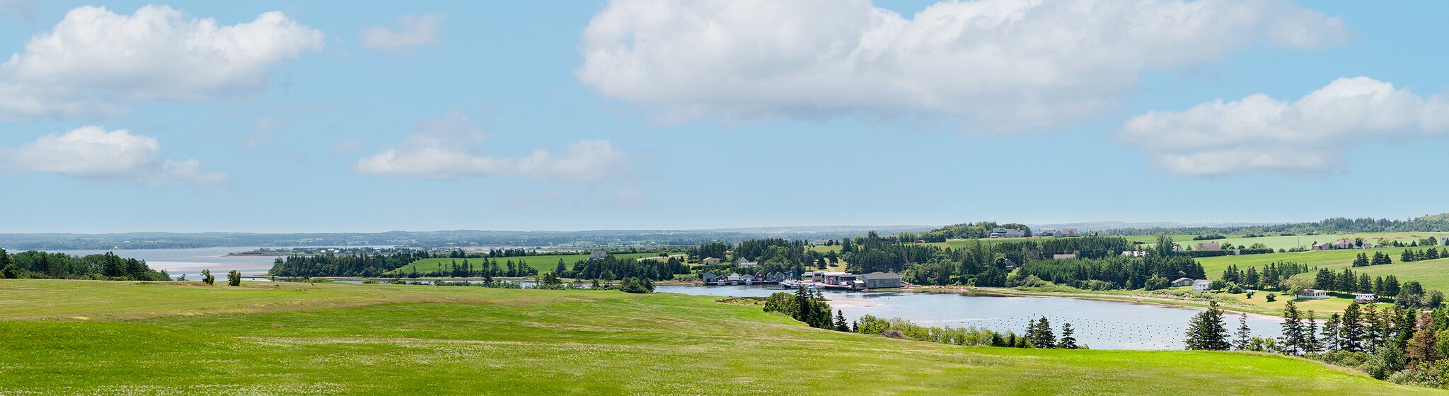 Live Here - Innovation PEI